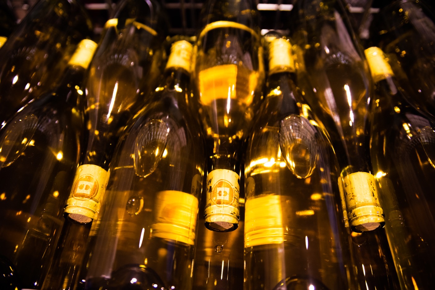 ワイン紹介 | ハイディワイナリー | 奥能登の純国産ワイン醸造所 Heidee Winery